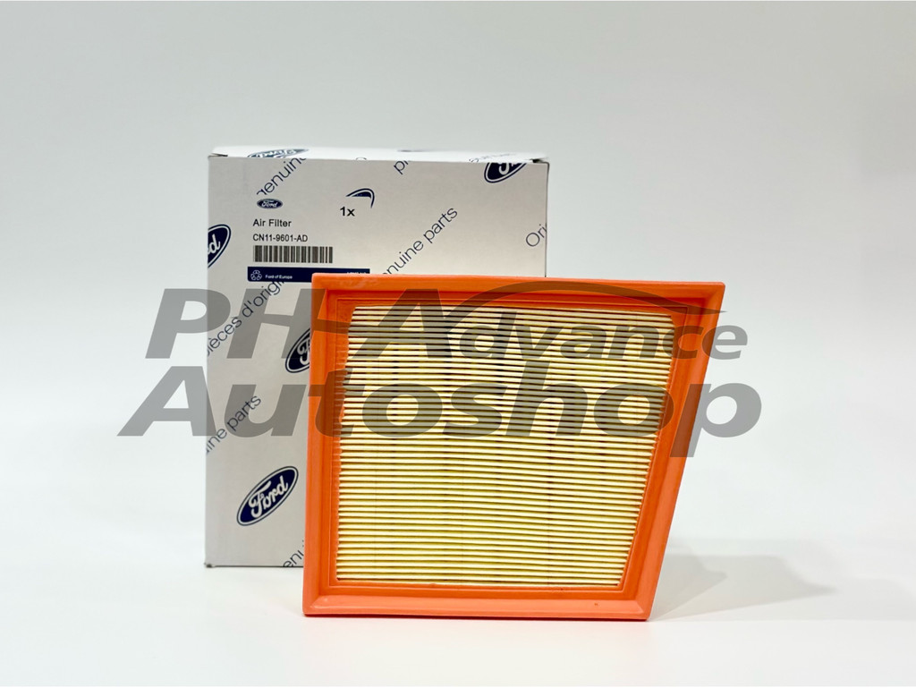Air Filter Ford Ecosport 2014-2018 / Fiesta 2011-2019 CN11-9601-AD ...