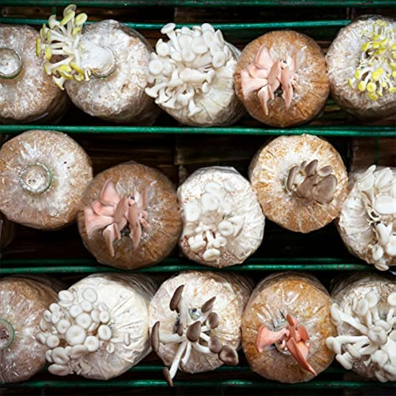 20Pc Mushroom Spawn Grow Bag Cap Lock Ring Plastic Cultivation Bag Seal ...