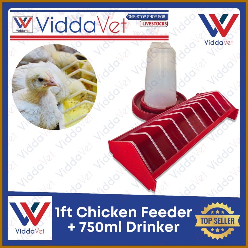 1ft Chicken Feeder + 750 ml Drinker Chicken Farm Plastic Automatic ...