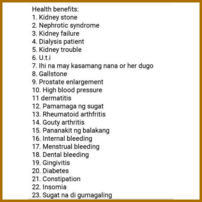 ® RED ALINGATONG TEA HERBAL 1 POUCH STINGING NESTLE TEA ORIGINAL UGATNG ...