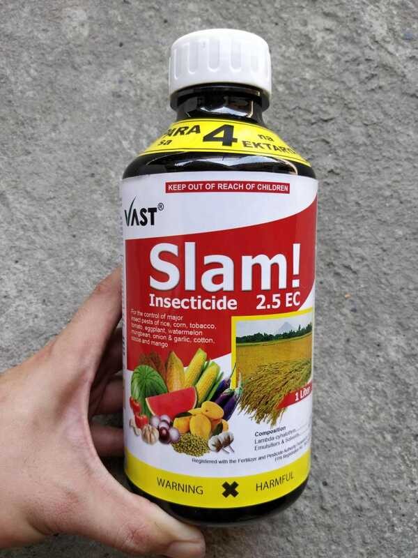 SLAM 2.5 EC INSECTICIDE (Lambda-Cyhalothrin) - BLACK BUG KILLER - 1 ...