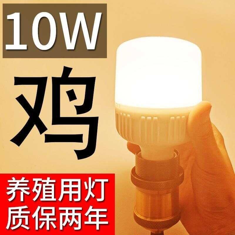 Farm E27 Snail Mouth Field House Bulb Special Lamp Warm Light Egg ...