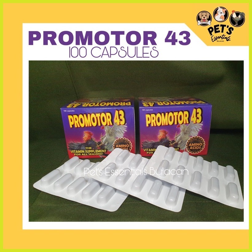 ≈ Excellence Promotor 43 100capsules | Shopee Philippines