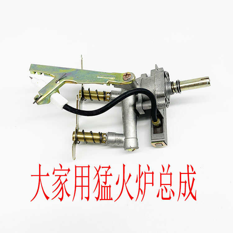 Low pressure liquefied gas ignition furnace assembly, commercial high ...