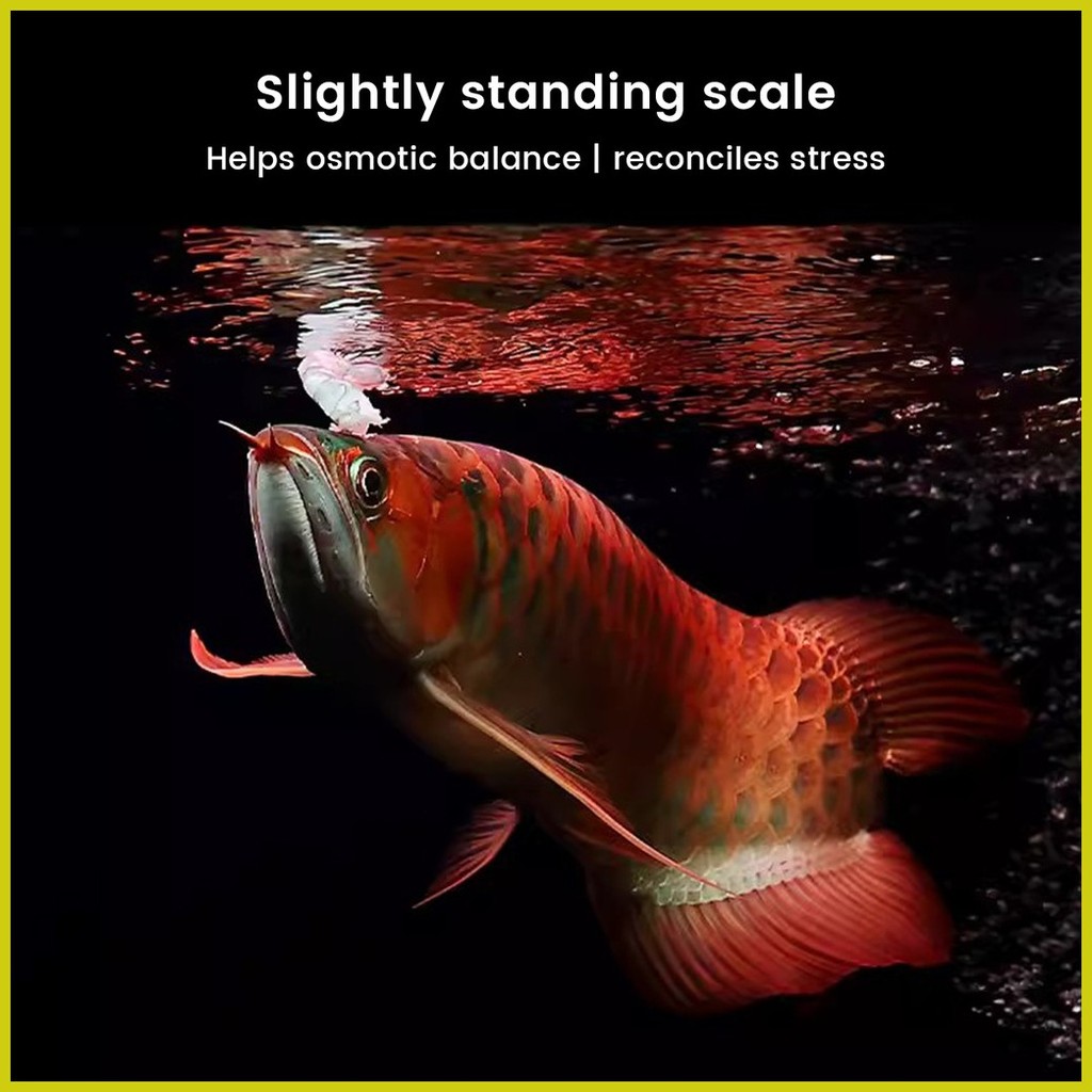 Medicinal Aquarium Salt Aquarium Fish Diseases Treatment Sterilization ...