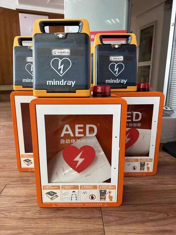 Mindray AED Wall Mounted Alarm Cabinet, Vertical Alarm Cabinet ...