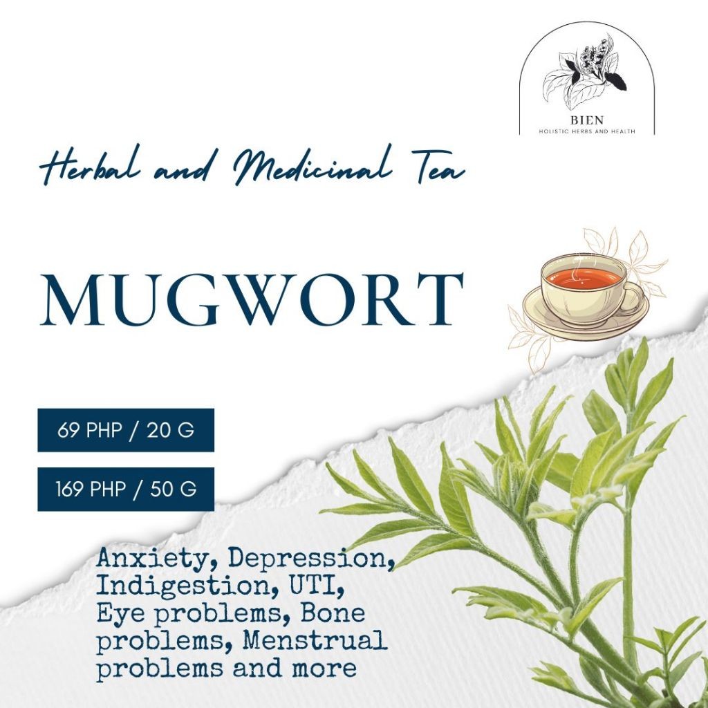 ⭐ ♥️ MUGWORT LEAF TEA DAMONG MARIA/ DRIED MUGWORT LEAVES/DAMONG MARIA ...