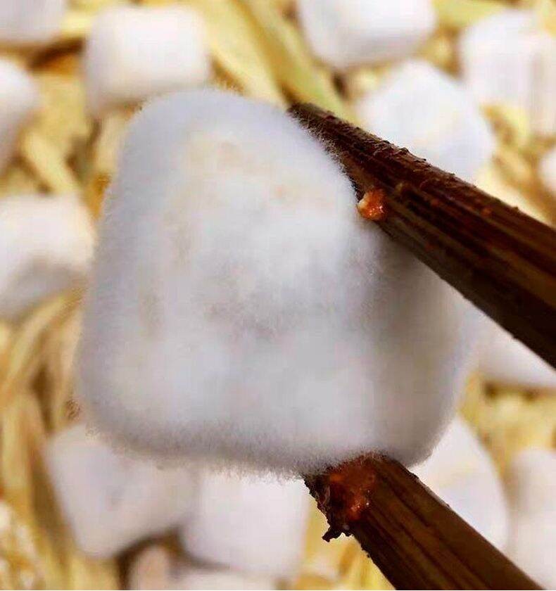 XUPAI Fermented Bean Curd Yeast Powder Mucilae Yogurt Powder For Home ...