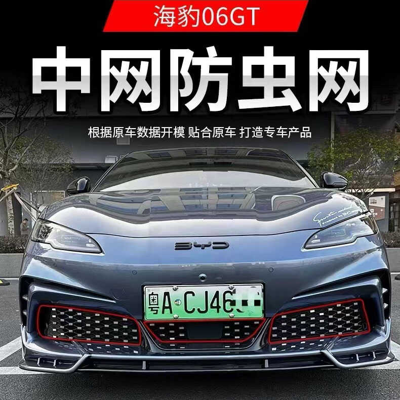 BYD Seal 06GT insect proof net espesyal na grill front bumper condenser ...
