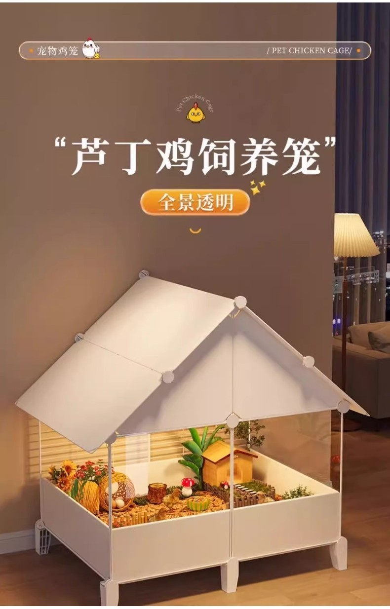 Luding Chicken Pet Breeding Box Young Chicken Luding Chicken Quail ...