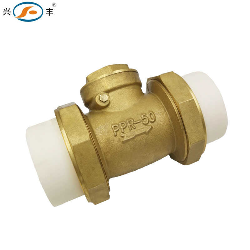 Brass PPR Horizontal Check Valve Double Union All Copper Horizontal ...