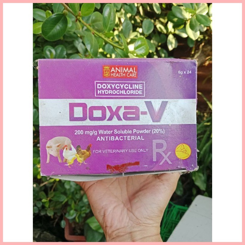 BMEG DOXA V PER BOX SOLD FOR ANIMALS ☪ | Shopee Philippines
