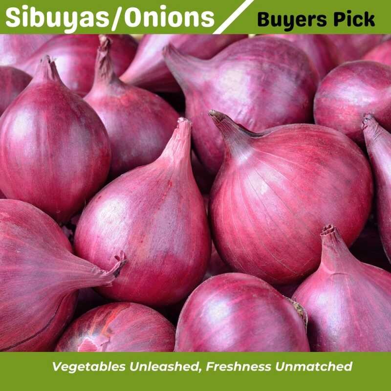 500G Red Onion Bulb Sibuyas Medium To Large Native Local Variant ...