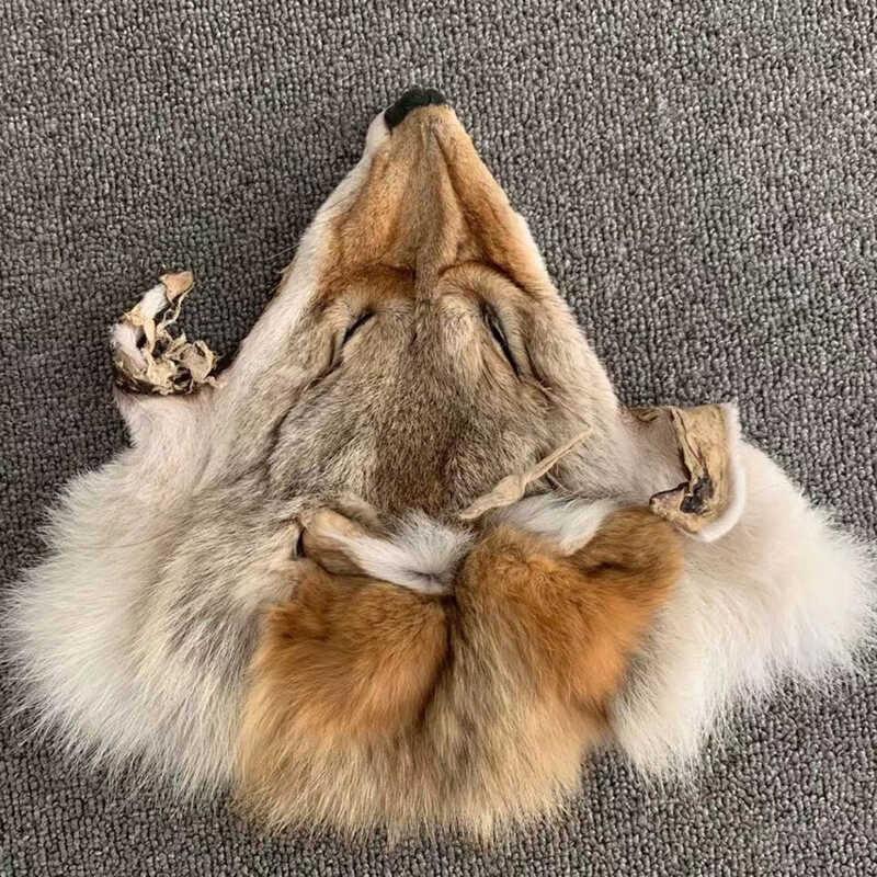 Bulok Simulasyon Ng Balahibo Skalp Pader Dekorasyon Pagpipinta Kamay ...