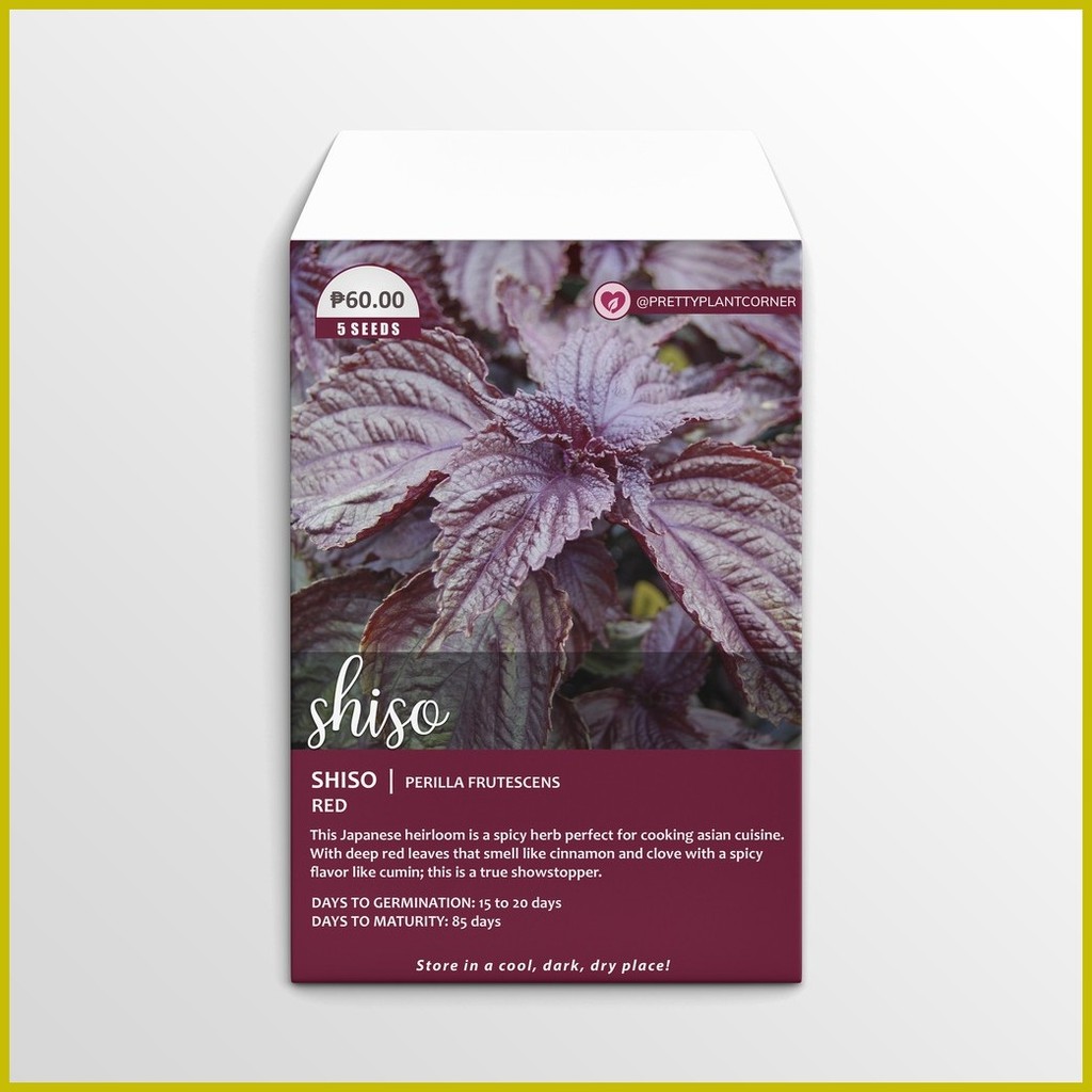 Red Shiso Perilla Seeds | Shopee Philippines