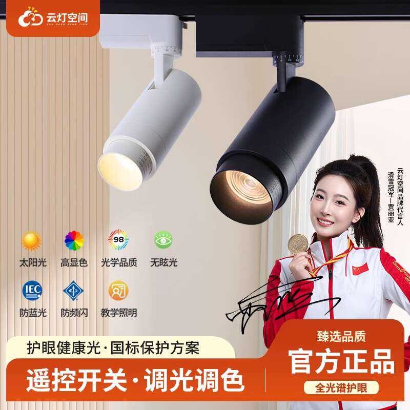 Maraming funksyonal na remote control switch ilaw track, nag-group madilim at pag-focus para sa ...