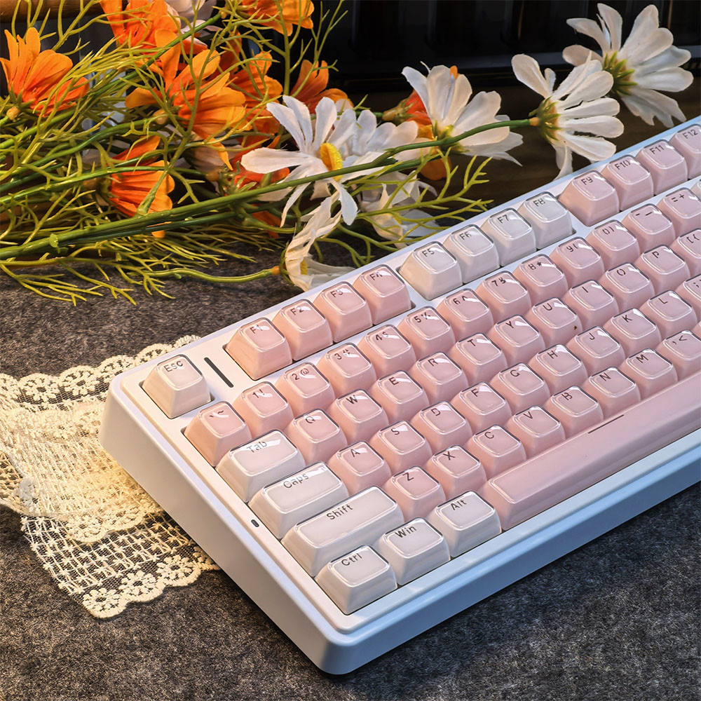 Jelly Keycap OEM Profile PC PBT 135 Keys Light Transmission Wooting MAD ...