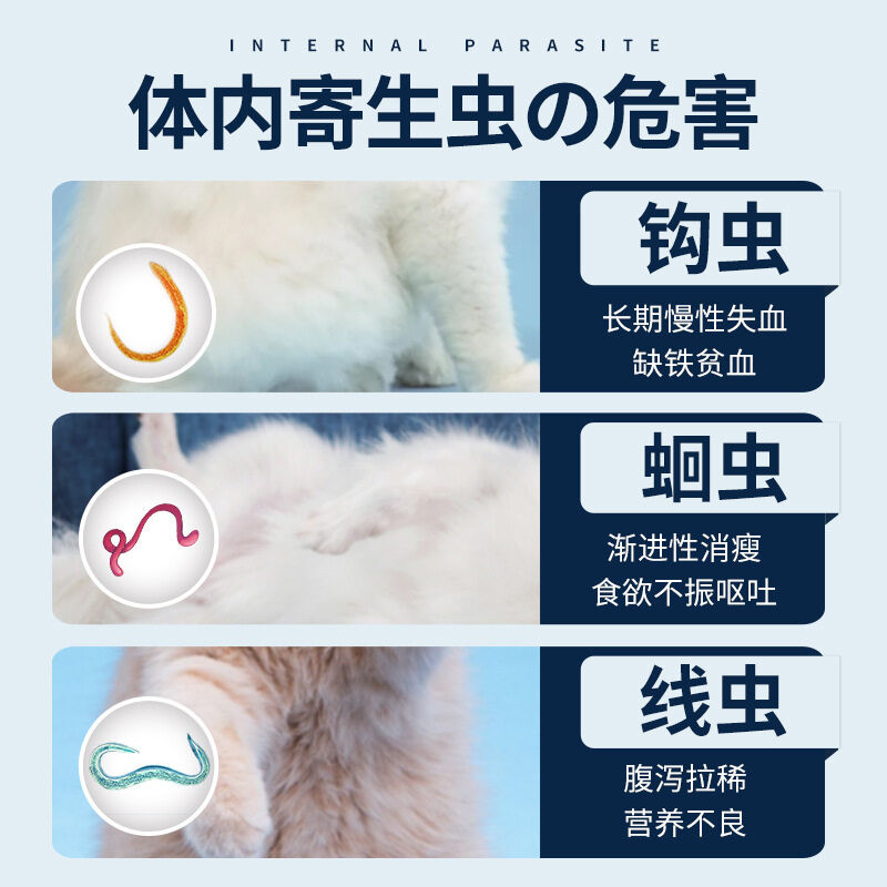 PETSOFT Avermectin Pour-on Solution Ticks Drops Safe Ingredients Itch ...