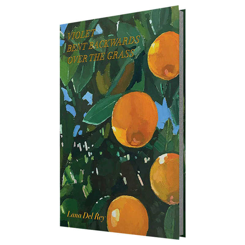 Lana Del Rey Poetry Collection English Original Book Hardcover Thunder ...