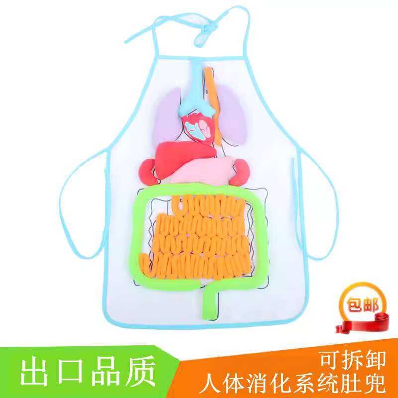 Tt Tt Ang Sangkatauhan Na Digestive System, Tiyan, Apron, Modelo ...