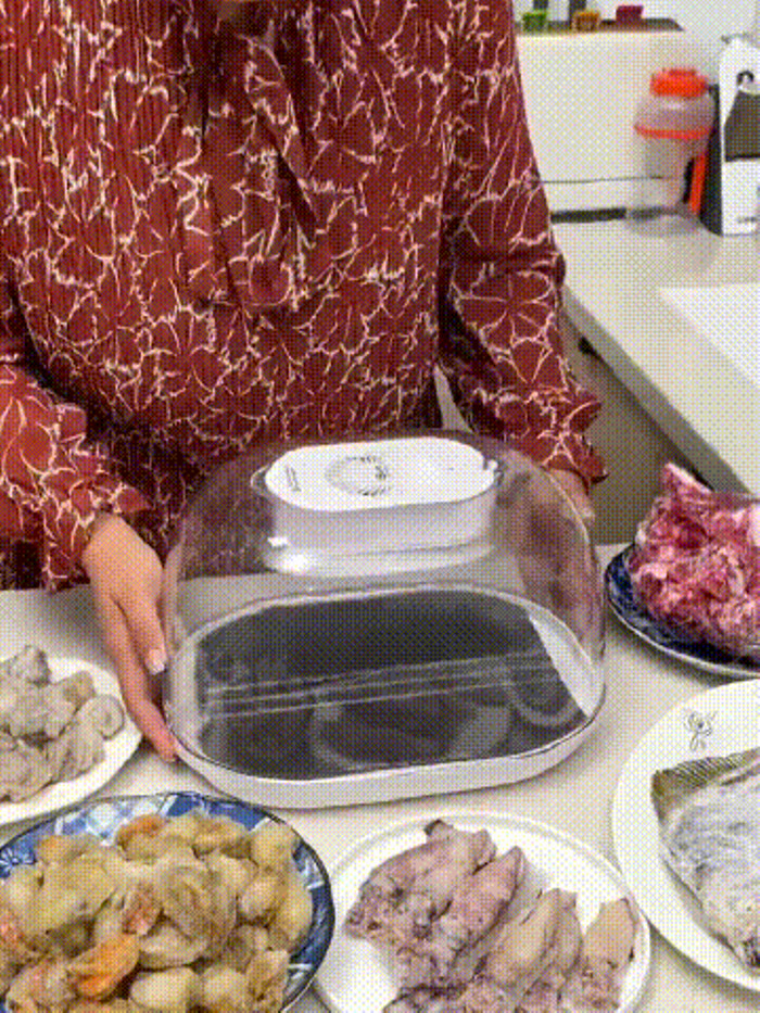 【6-In-1 Atomized Quick Thawing Artifact】Atomizing Thawing Machine ...