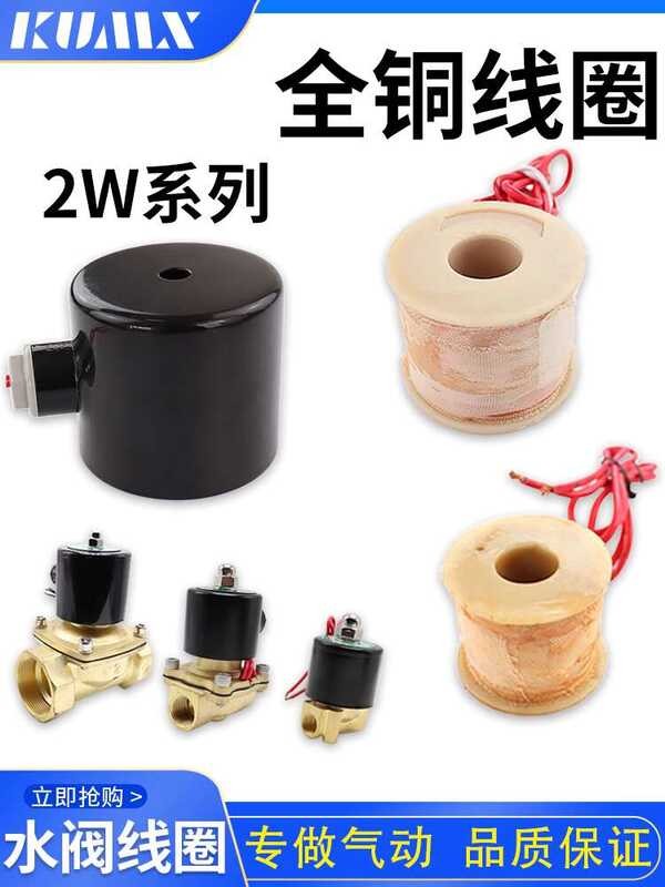 All copper solenoid 2 W waters valve coil 220 V 24 V 12 V 4 6 minutes 1 ...
