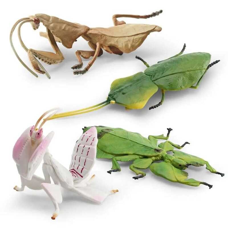 Simulation 3 6 Insect Animal Model Deroplatys Desica Orchid Wer Mantis ...