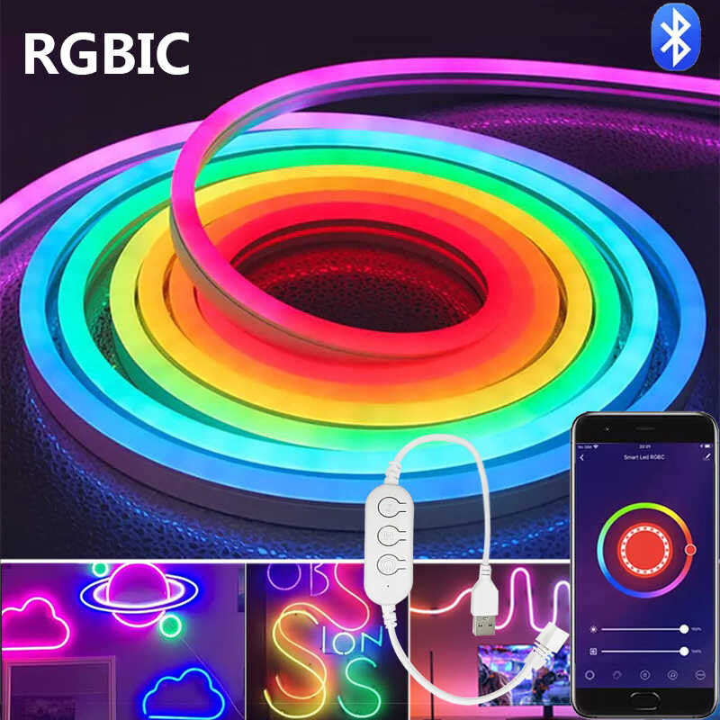 LED 4 3B Dc5v Lights Neon Rope Na May Music Sync DIY RGBIC Dreamcolor ...