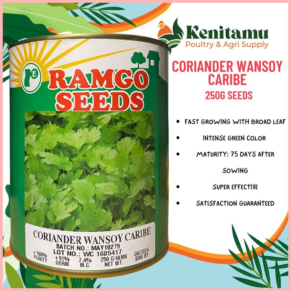 CORIANDER WANSOY CARIBE 250G SEEDS BY: RAMGO | Shopee Philippines