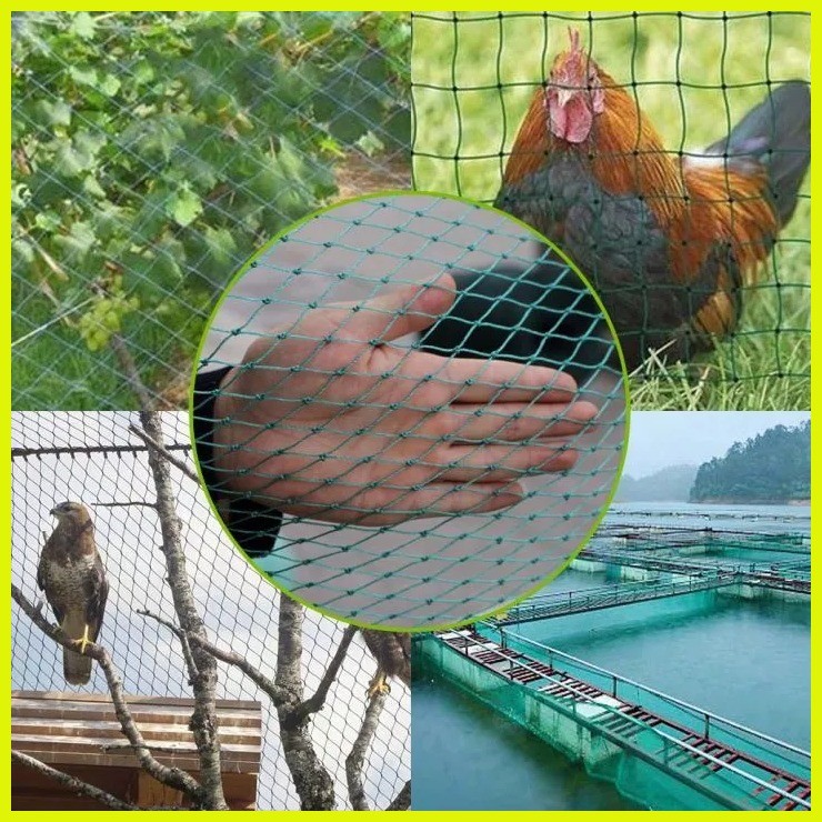 ⊙ ۵ [COD]20/50/100 m poultry chicken net/fishing net/fence net/garden ...