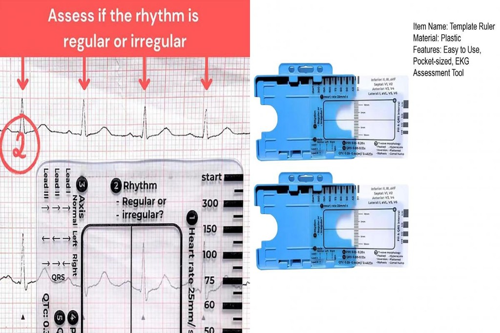 Id Badge Holder Ekg Ruler Electrocardiogram Measurement Tool Pocket Ekg ...
