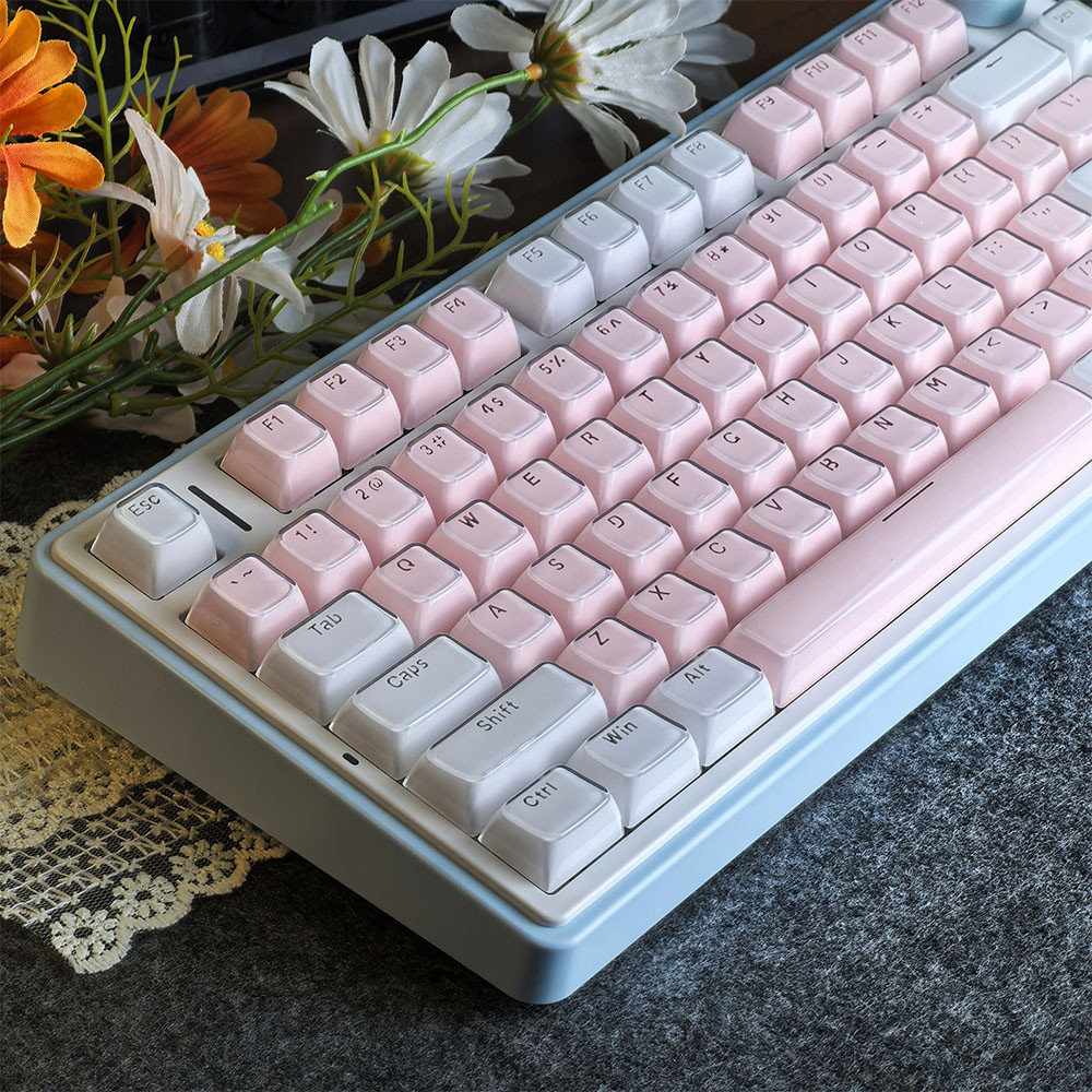 Jelly Keycap OEM Profile PC PBT 135 Keys Light Transmission Wooting MAD ...