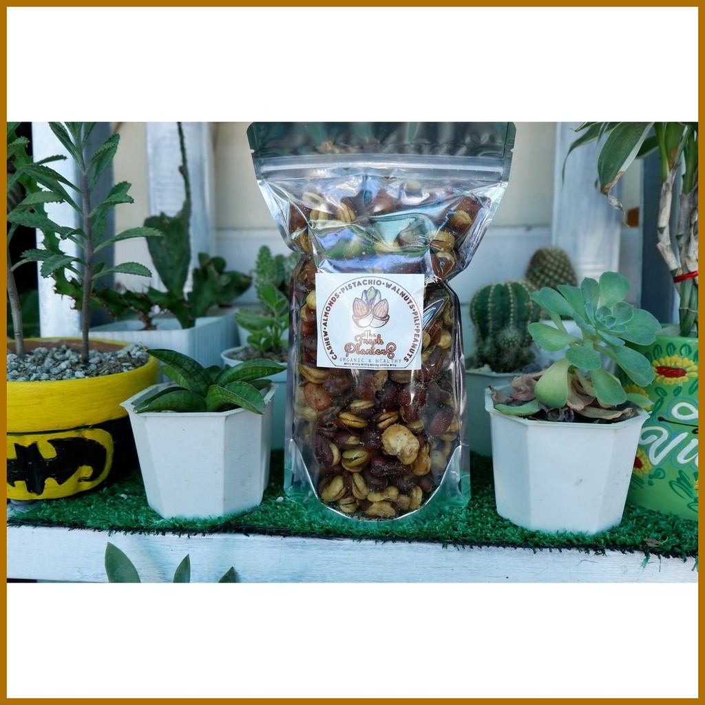 Pop Beans / Fava Beans (500 GRAMS) | Shopee Philippines