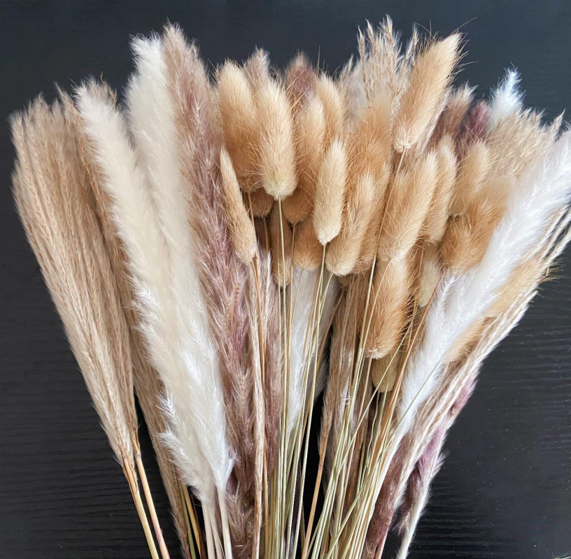 Dried Pampas Grass Decor Natural Brown & White Pampas Grass Bunny Tails ...