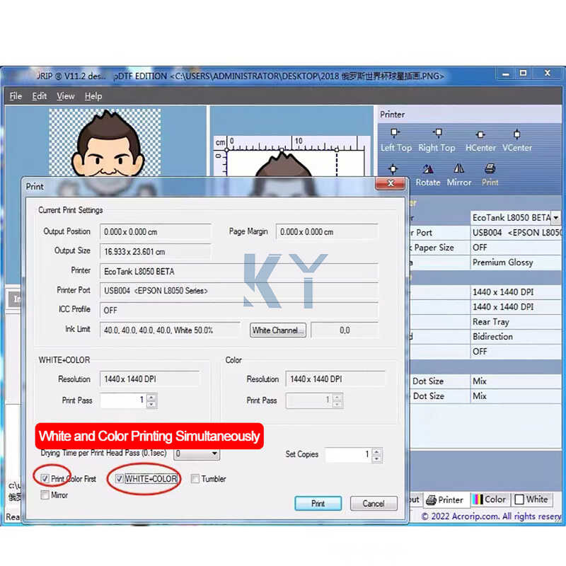 11.2 L18050 Rip Software Dongle 11 Kit For Epson L8050 Printer Dtf ...