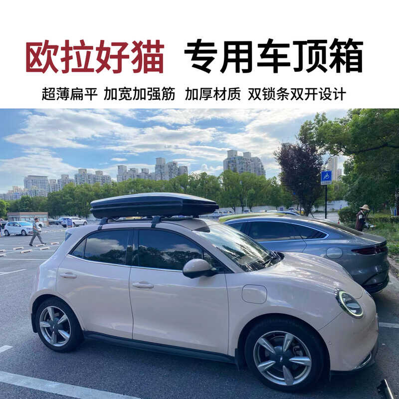 Euler Good Cat BMW MINI Mini Roof Car Luggage Rack Modified Travel Box ...