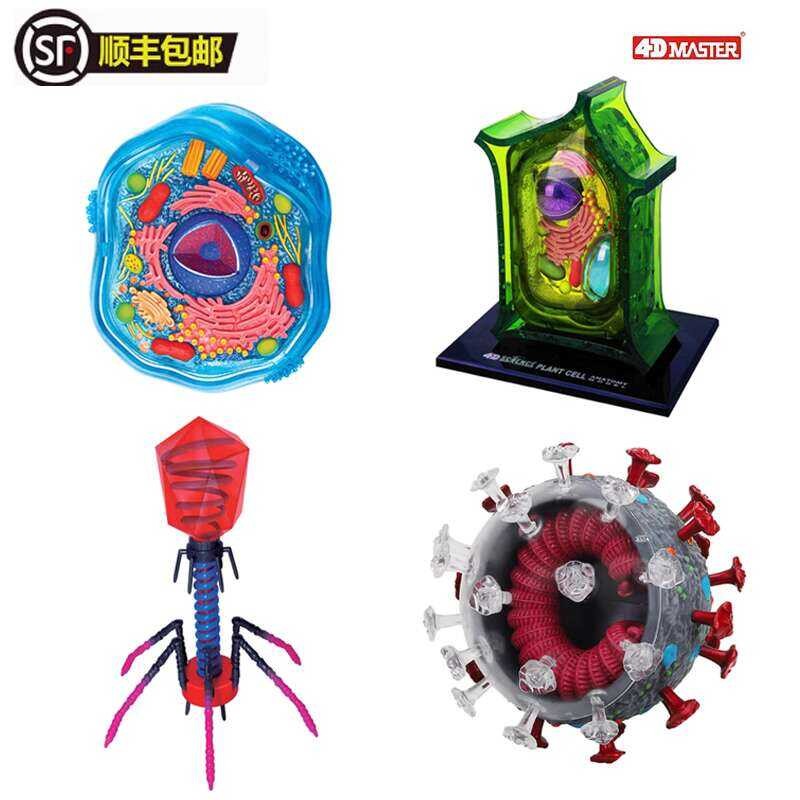 Tt 4D MASTER Animal And Plant Models May Kumukuha Ng Organs, Cells ...