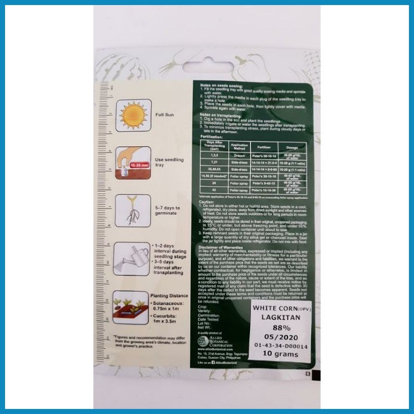 WHITE CORN SEEDS (OPV) LAGKITAN SACHET 10GRMS | Shopee Philippines