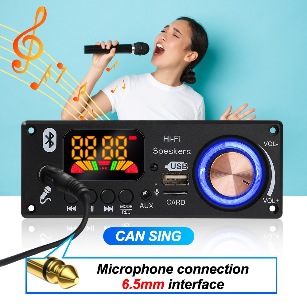 160W Amplifier Bluetooth 5.1 MP3 Decoder Board 2*80W Audio Player 12V DIY MP3 Player Car FM ...