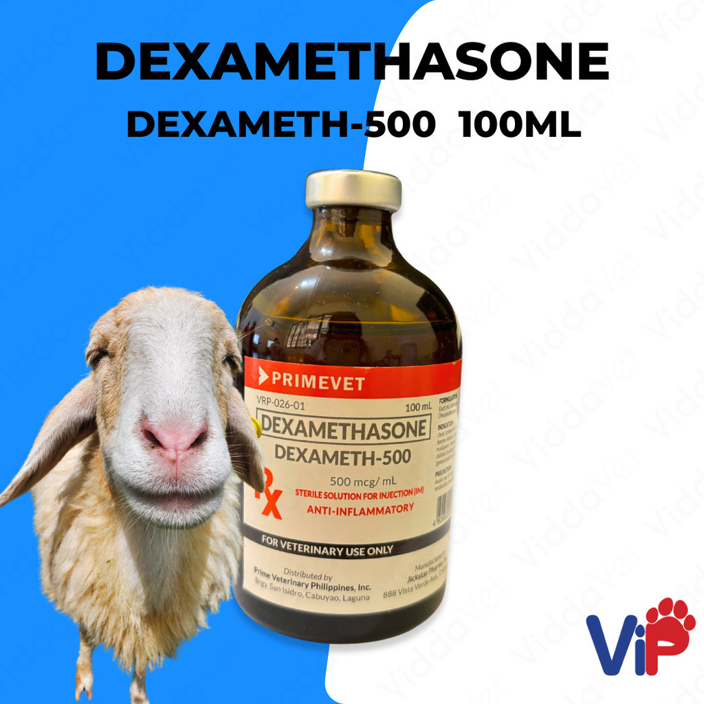 Dexamethasone Dexameth 100ml for Arthritis in Horses | Shopee Philippines