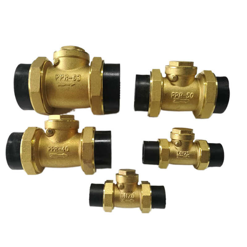 PPR Water Pipe Check Valve PE Double Union One-Way Valve Tap Water Pipe ...