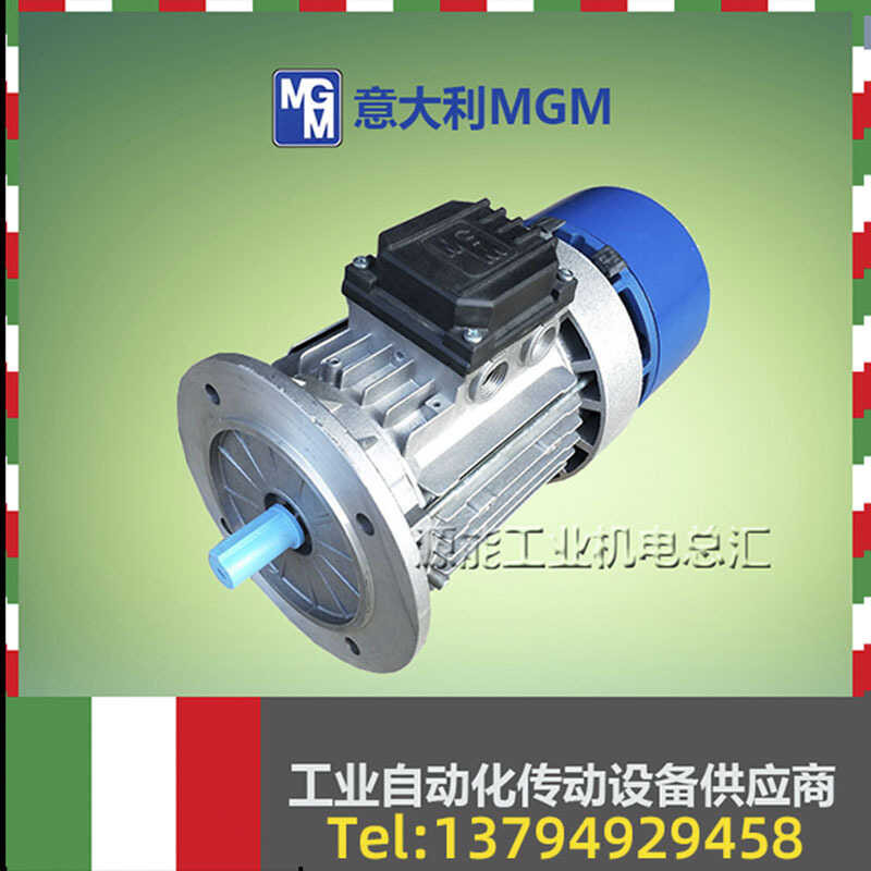 Italian MGM brake yaw motor pitch engine | Shopee Philippines