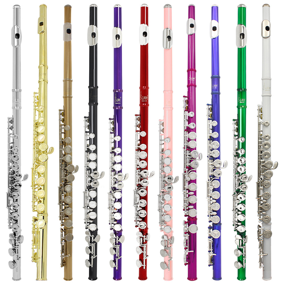 SLADE 16 Closed Open Holes C Key Flute Musical Instrument Concert Flute ...