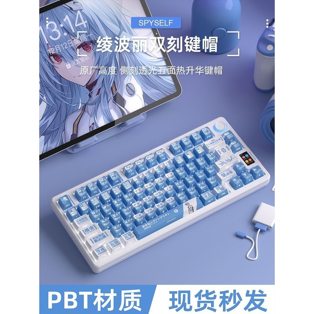 Secret Agent EVA Ayanami Rei 250 Keys + Dual Side Engraved PC Dual ...