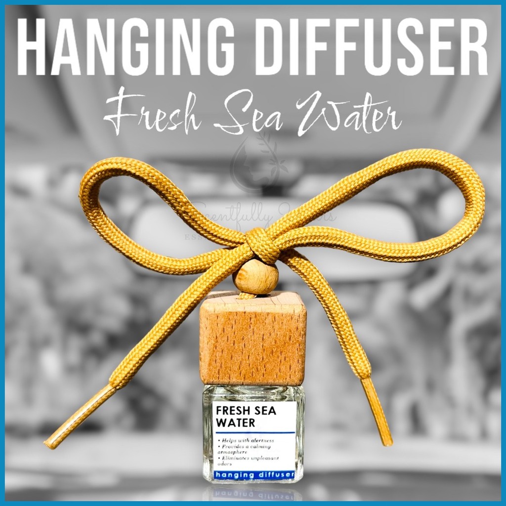 Fresh Sea Water - Hanging Diffuser (High Concentration Oil) | Shopee ...