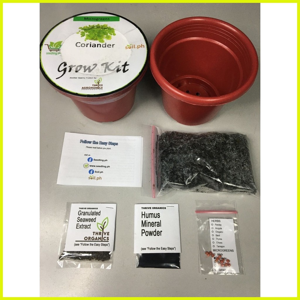 × Pechay Tagalog Green Leafy Veggie Kit Grow Kit Seedling Kit Starter Kit Planting Kit Thrive O ...