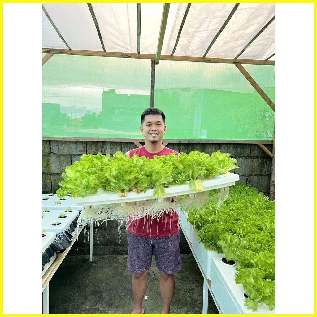 ♟ ۞ HYDROPONICS STARTER KIT M (15 HOLES TUNA BOX) - COMPLETE SET FOR ...