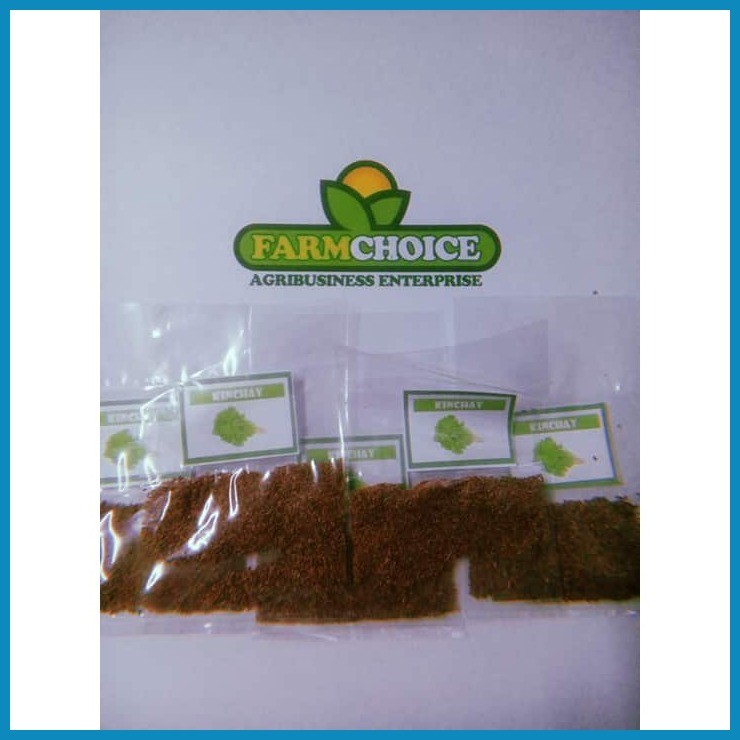 Kinchay / Kintsay Herbs (8,900 seeds) | Shopee Philippines