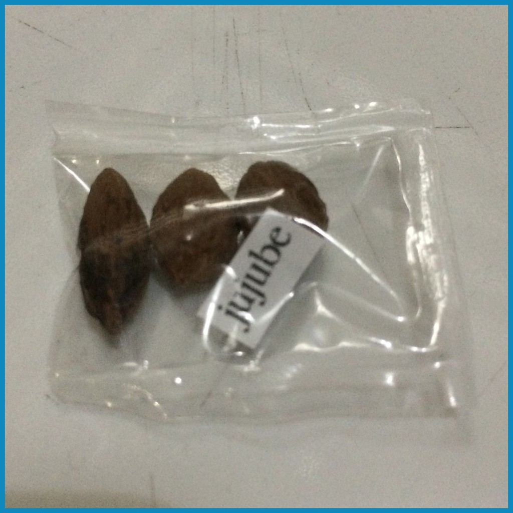 jujube chinese dates mansanitas fruit tree seeds | Shopee Philippines