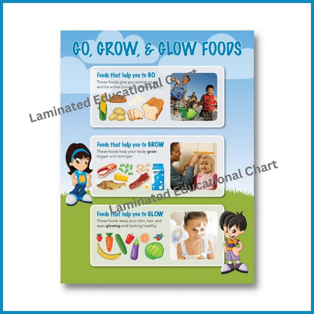 Laminated Go, Grow & Glow Foods Chart for Kids, Learners and Educators ...